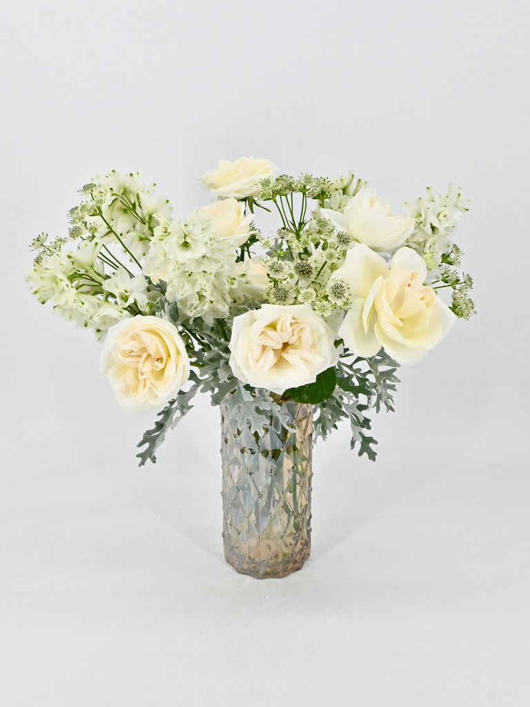 Astrantia — MUSE Flowers & Wrapping