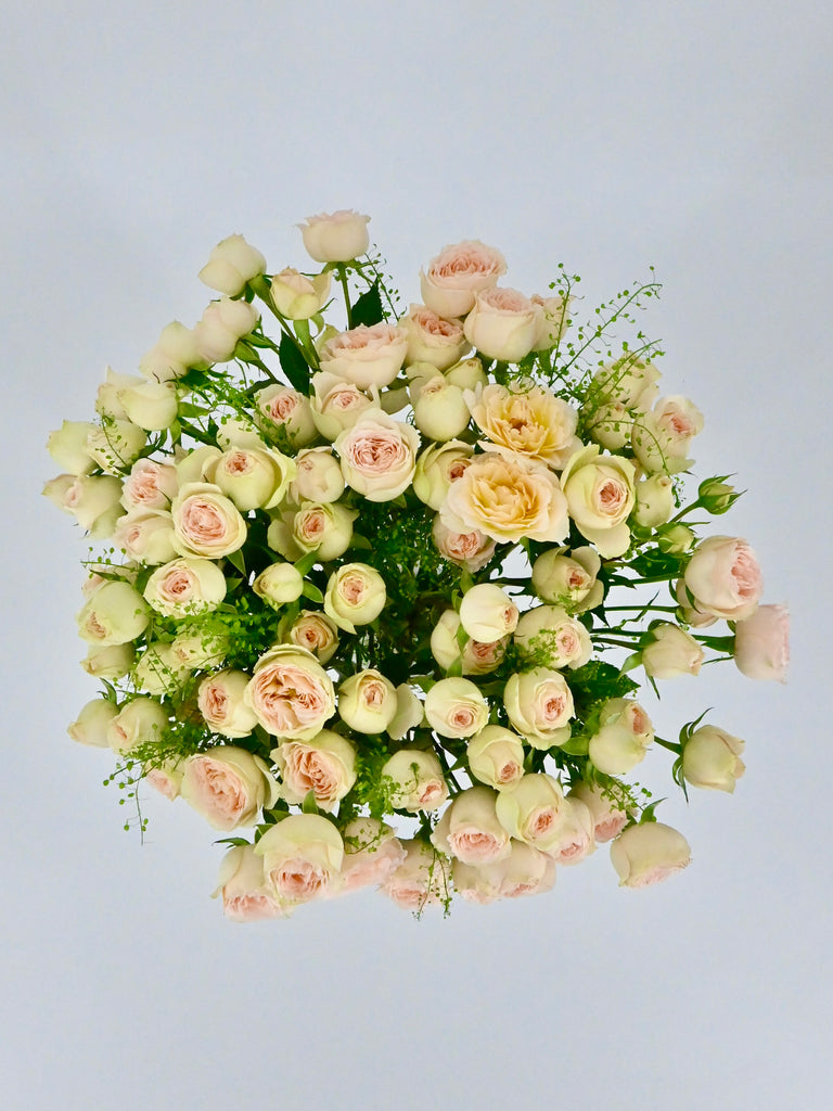 Pavlova — MUSE Flowers & Wrapping