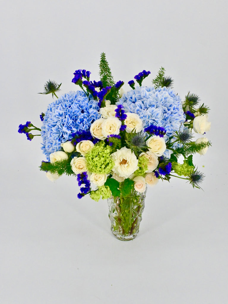 Viburnum Roseum — MUSE Flowers & Wrapping