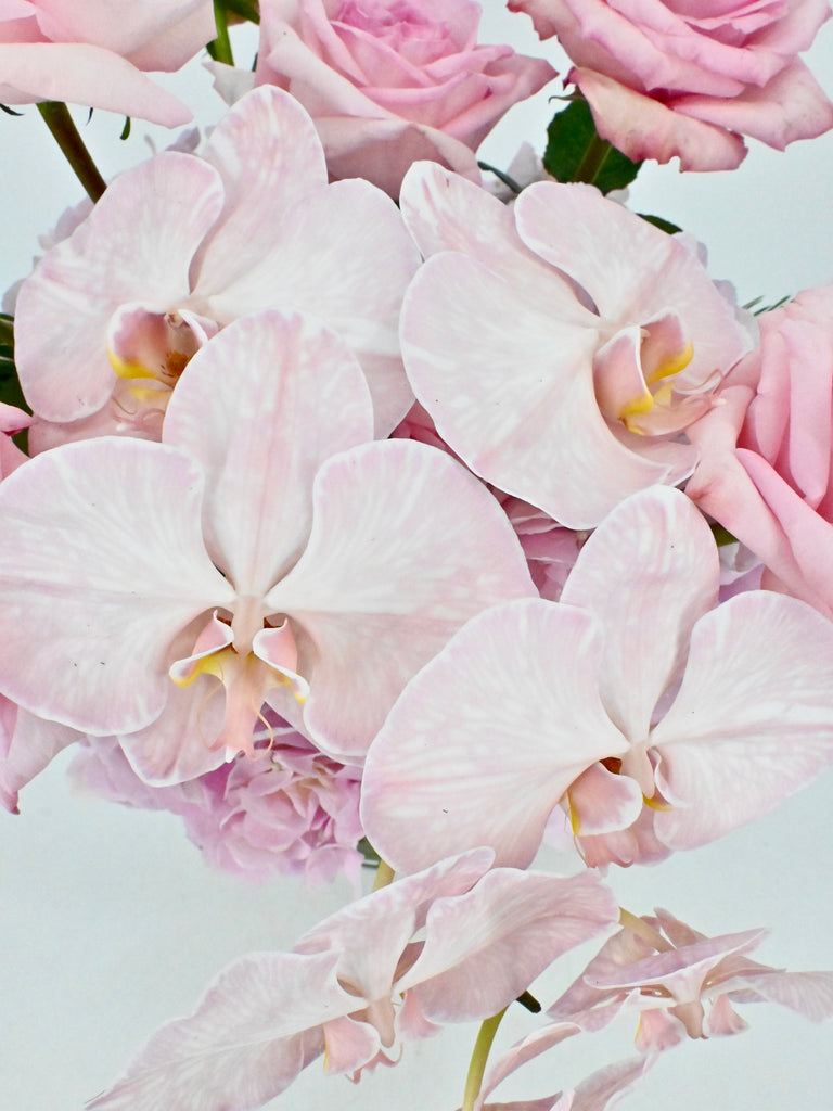 Blushing Beauty — MUSE Flowers & Wrapping