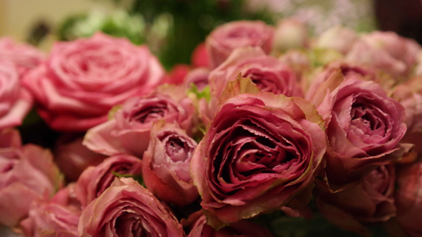 MUSE Flowers & Wrapping