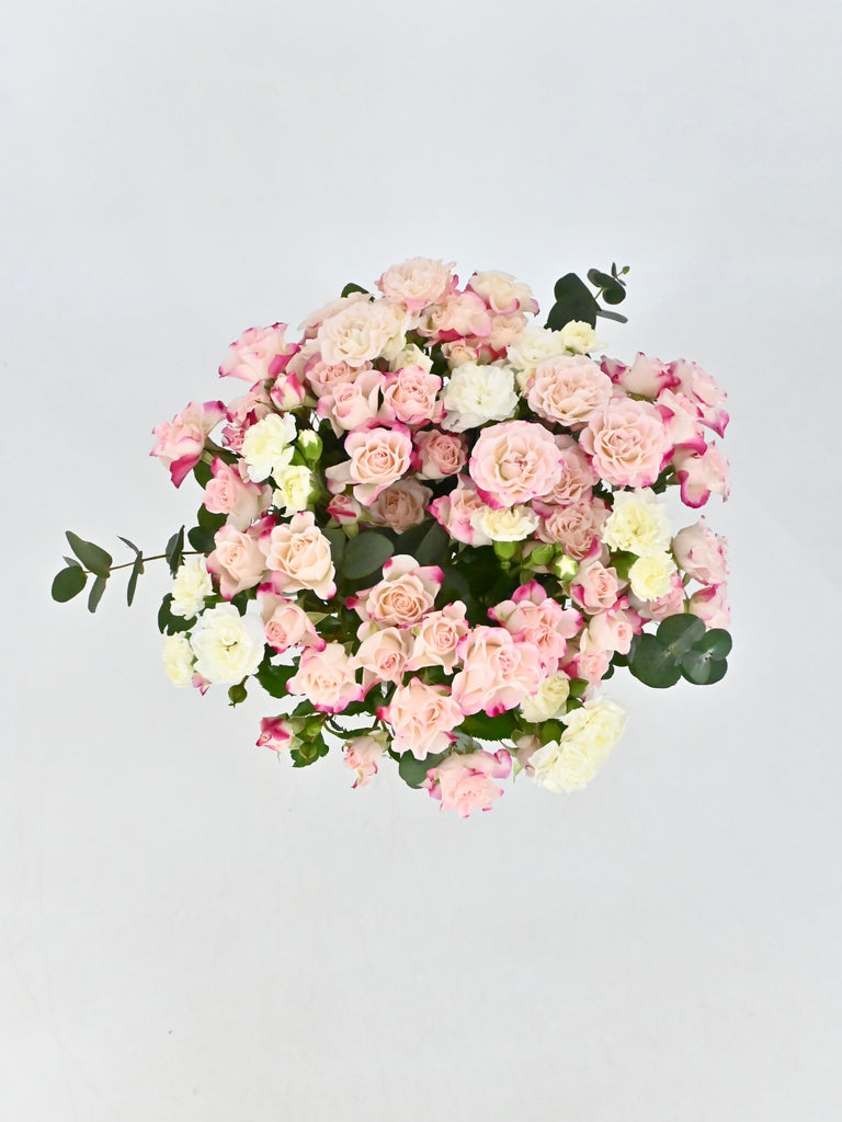 Spray Roses Reflex — MUSE Flowers & Wrapping