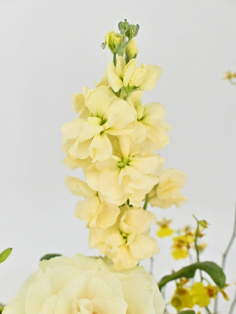 Hajj Garden — MUSE Flowers & Wrapping