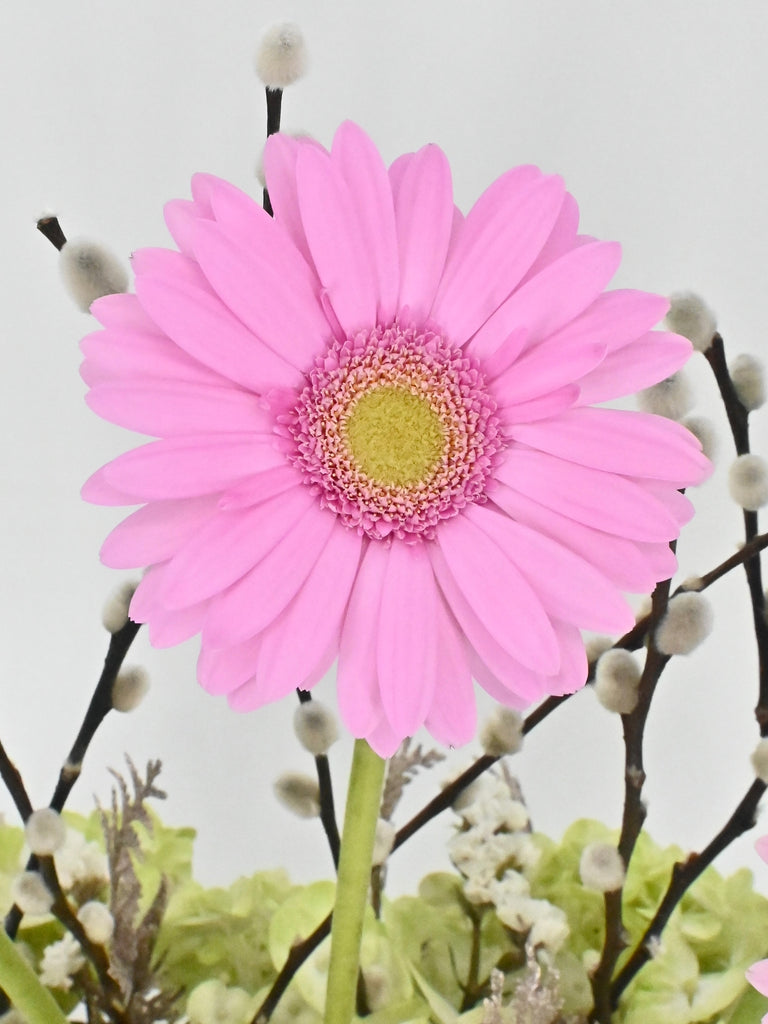 Gerby Pink — MUSE Flowers & Wrapping