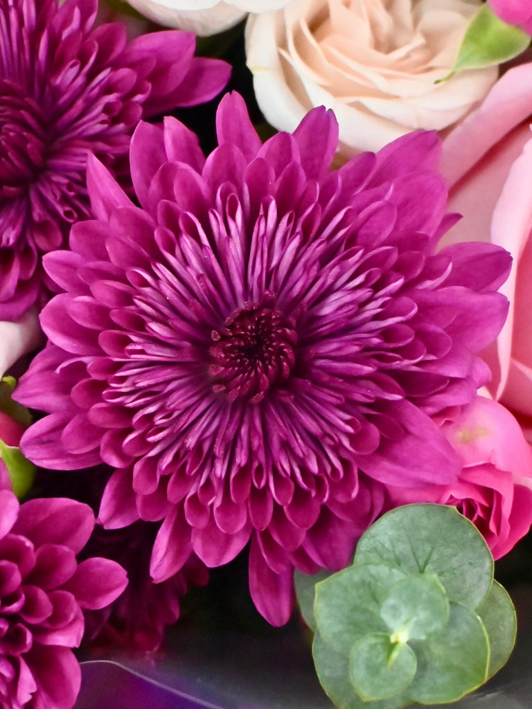 Malibu Beauty — MUSE Flowers & Wrapping