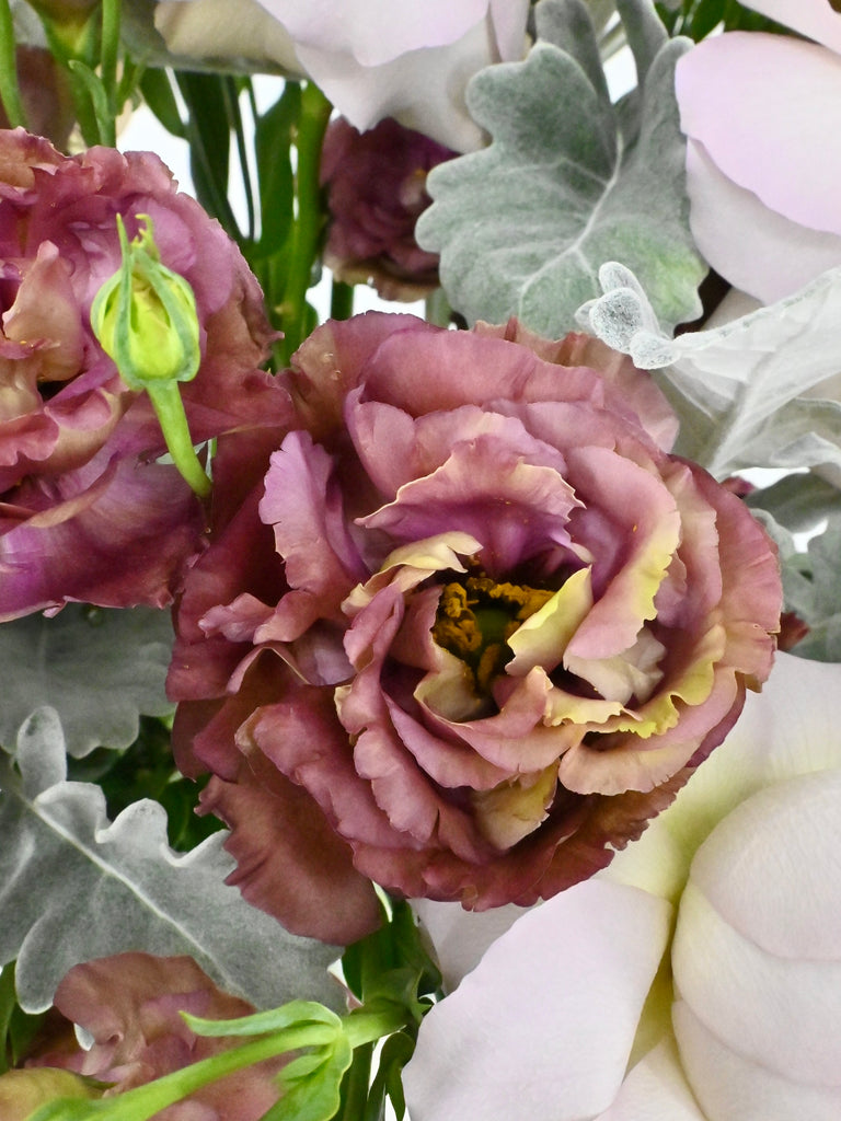 Tea Garden — MUSE Flowers & Wrapping