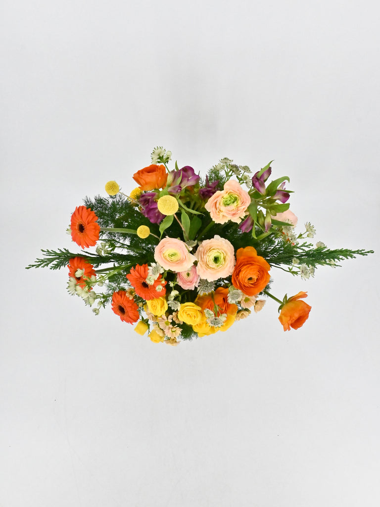 Vibrance — MUSE Flowers & Wrapping