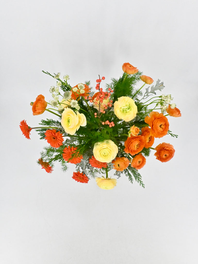 Vivacious — MUSE Flowers & Wrapping