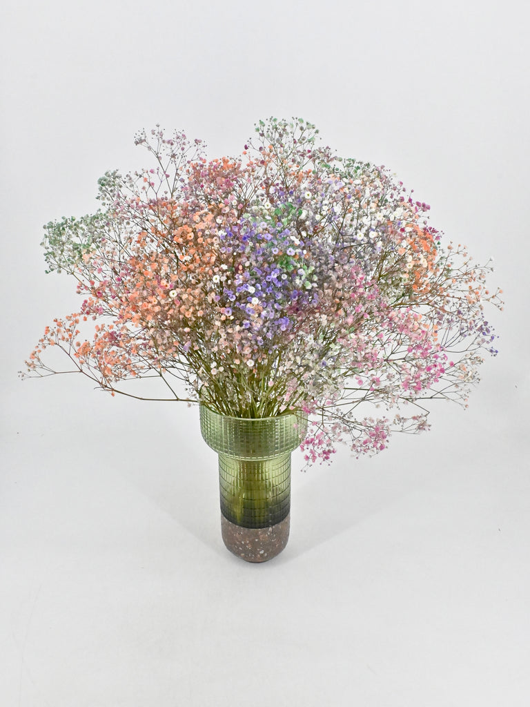 Dreamy — MUSE Flowers & Wrapping