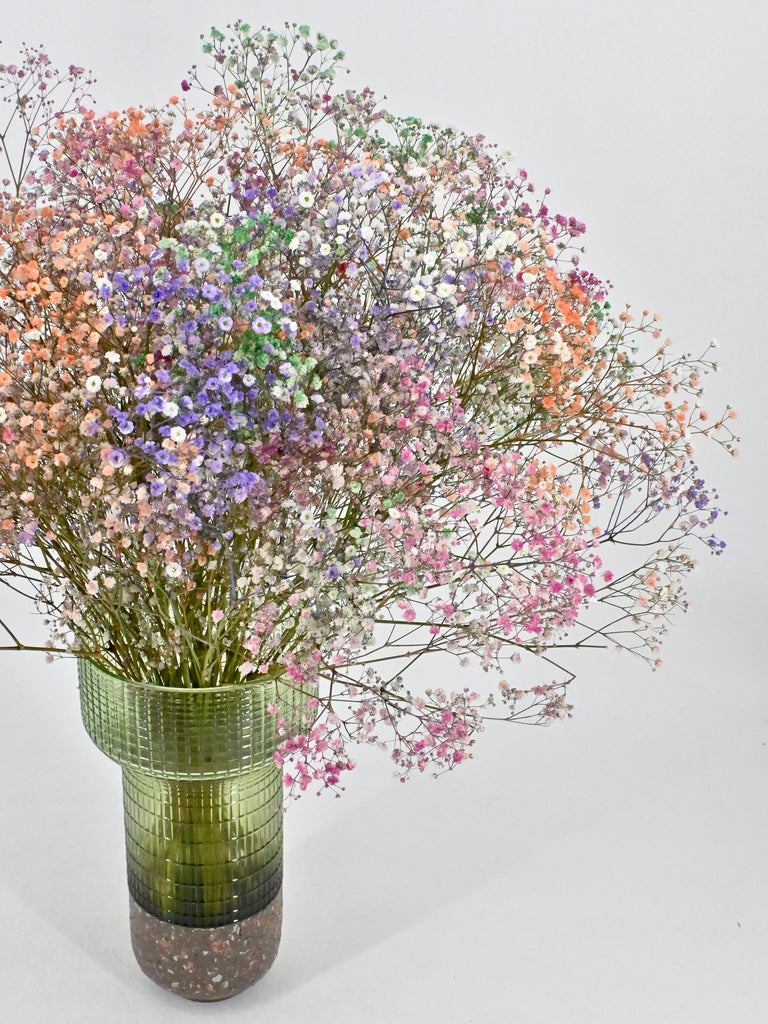 Dreamy — MUSE Flowers & Wrapping