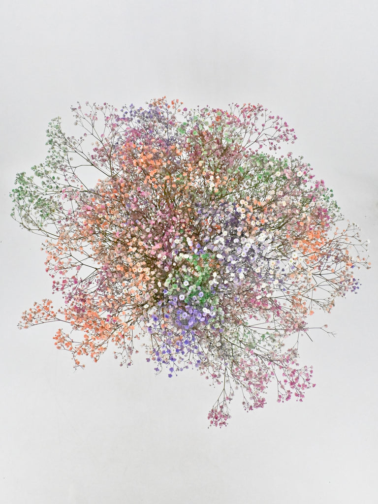 Dreamy — MUSE Flowers & Wrapping