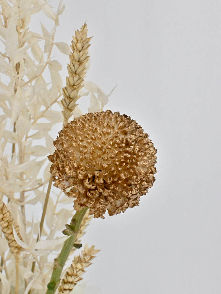 Tarwie Garden — MUSE Flowers & Wrapping