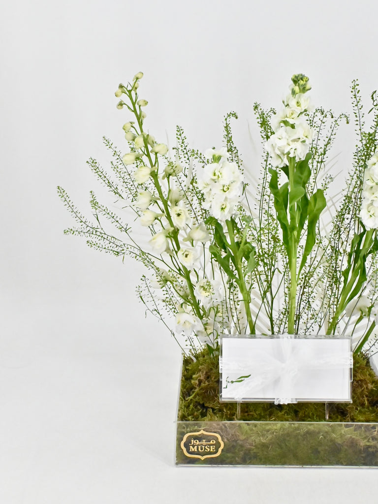 Matty White — MUSE Flowers & Wrapping