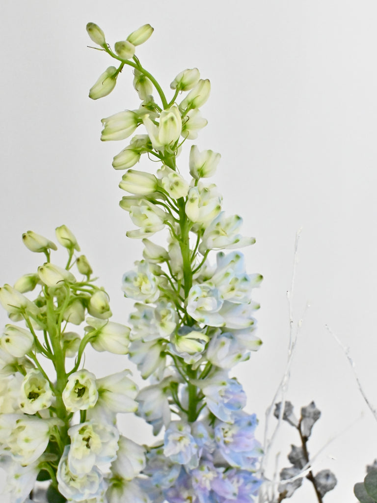 Luvy Garden — MUSE Flowers & Wrapping