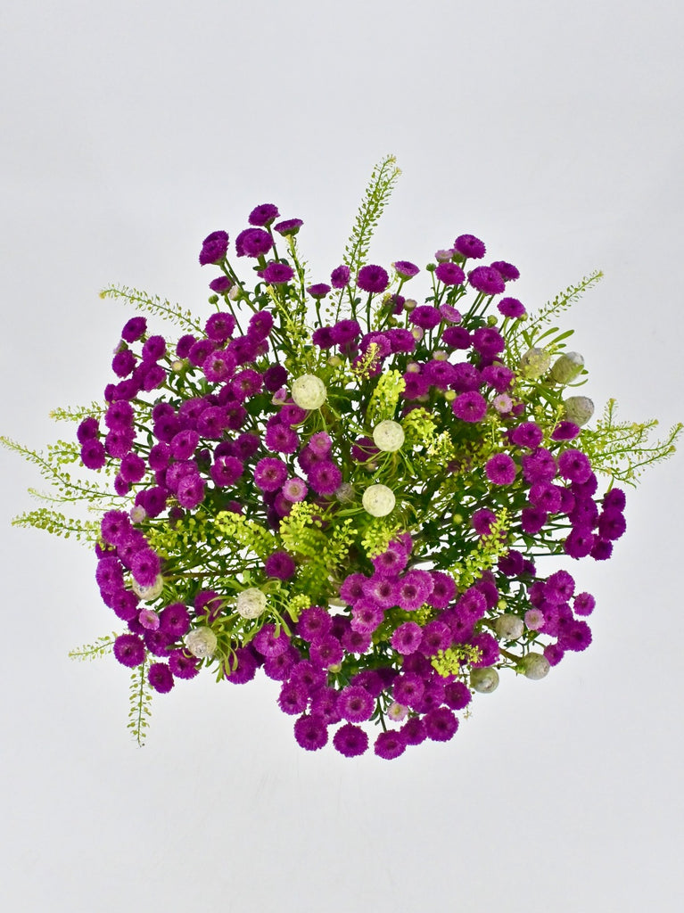 Calimero Dark — MUSE Flowers & Wrapping