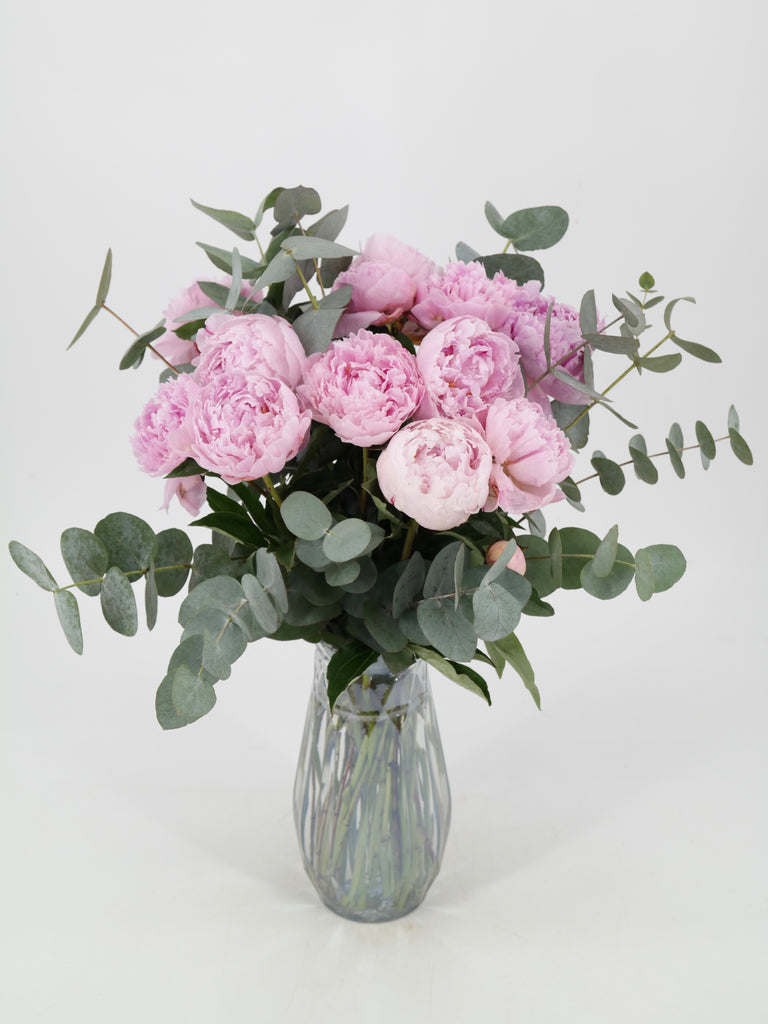 Sara Bern — MUSE Flowers & Wrapping