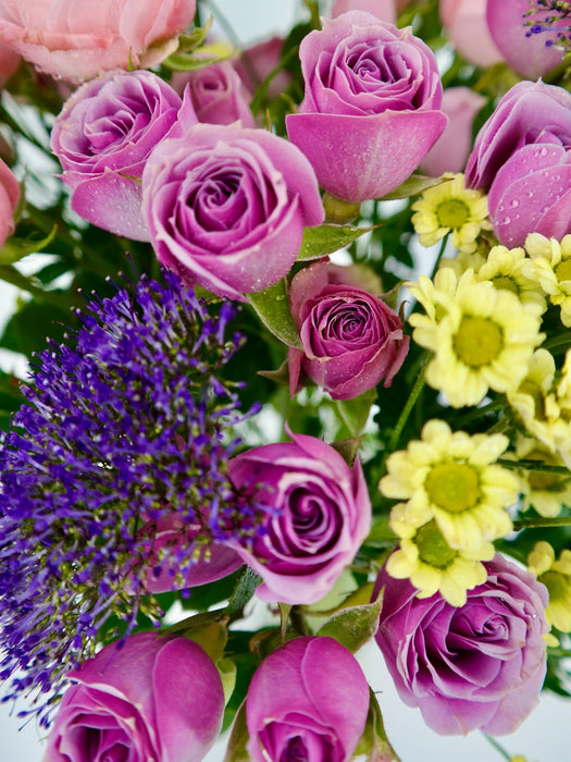 Leila — MUSE Flowers & Wrapping