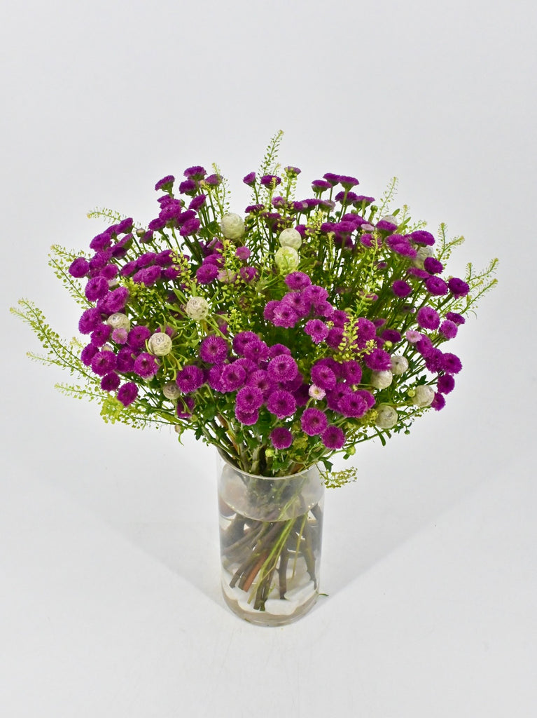 Calimero Dark — MUSE Flowers & Wrapping