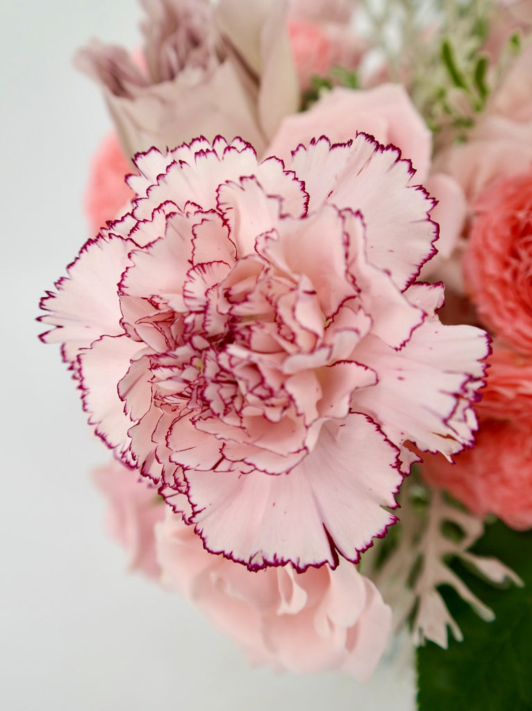 Ms. Mariposa — MUSE Flowers & Wrapping