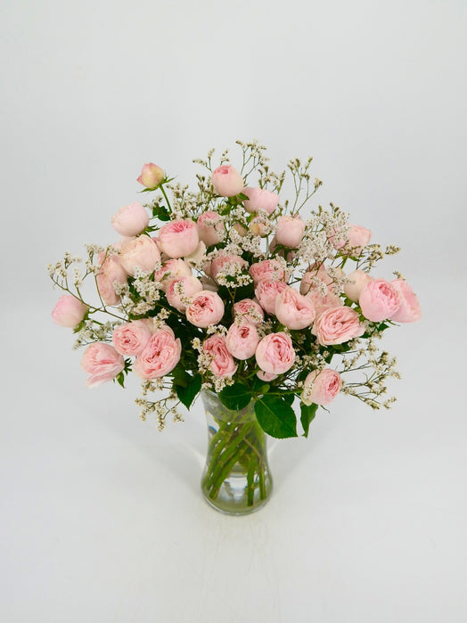 Mansfield — MUSE Flowers & Wrapping